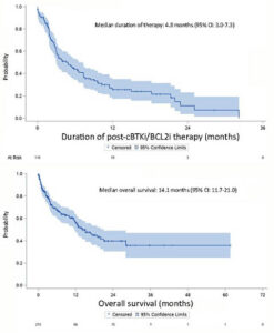 EHA 2022: Outcomes Following Treatment With a Covalent BTK and BCL2 ...